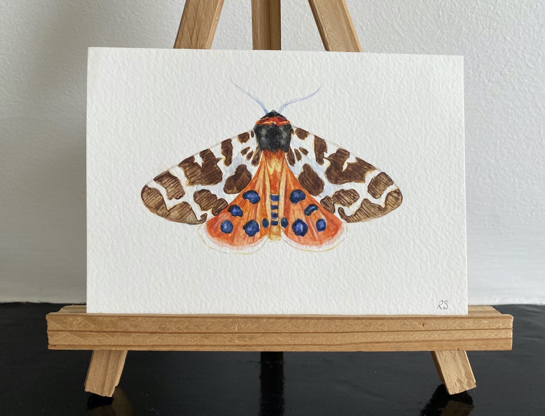 Original Watercolour Painting of Garden Tiger Moth, Hand-painted Moth ...