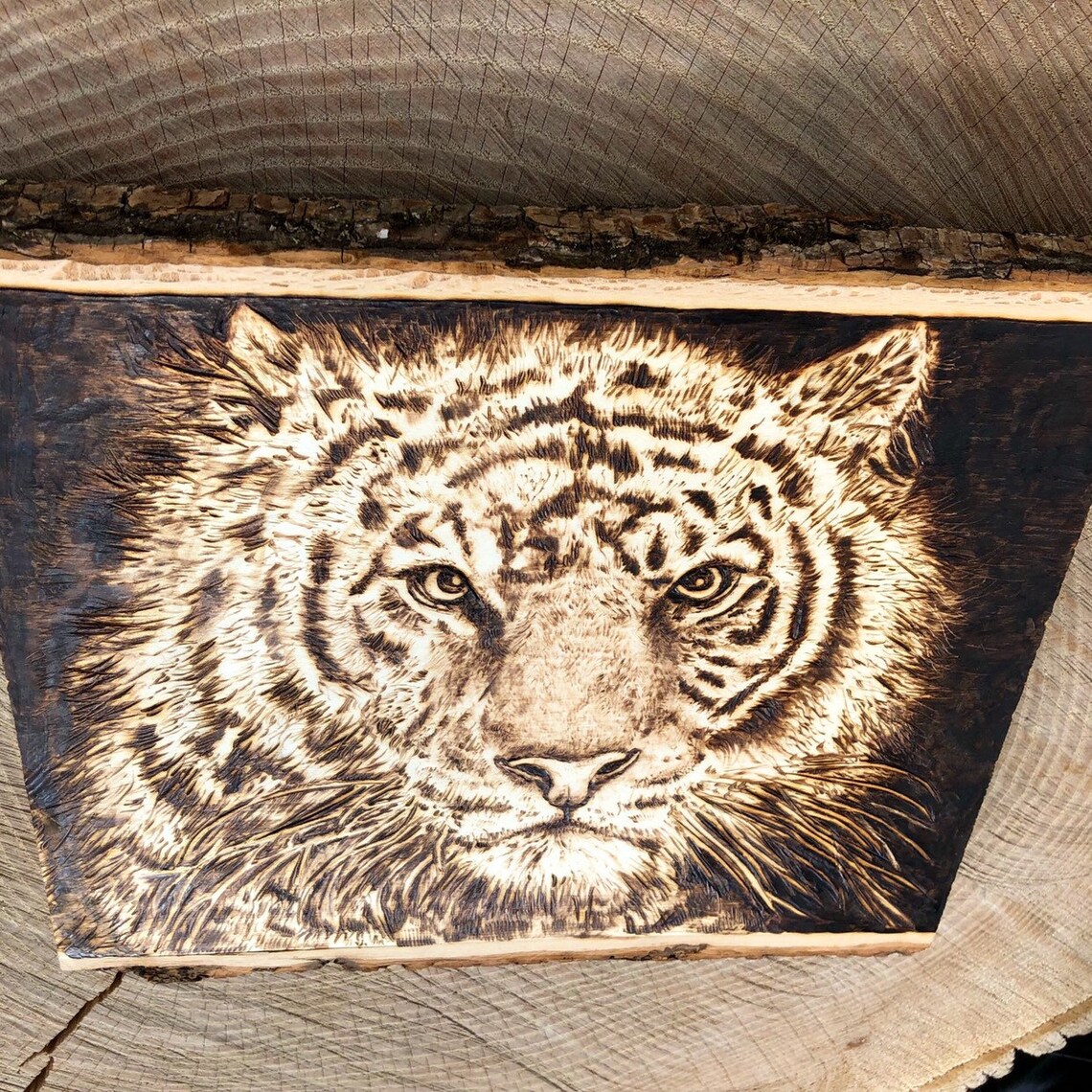 Tiger Art, Tiger Picture, Tiger Woodburning, Tiger, Pyrography ...