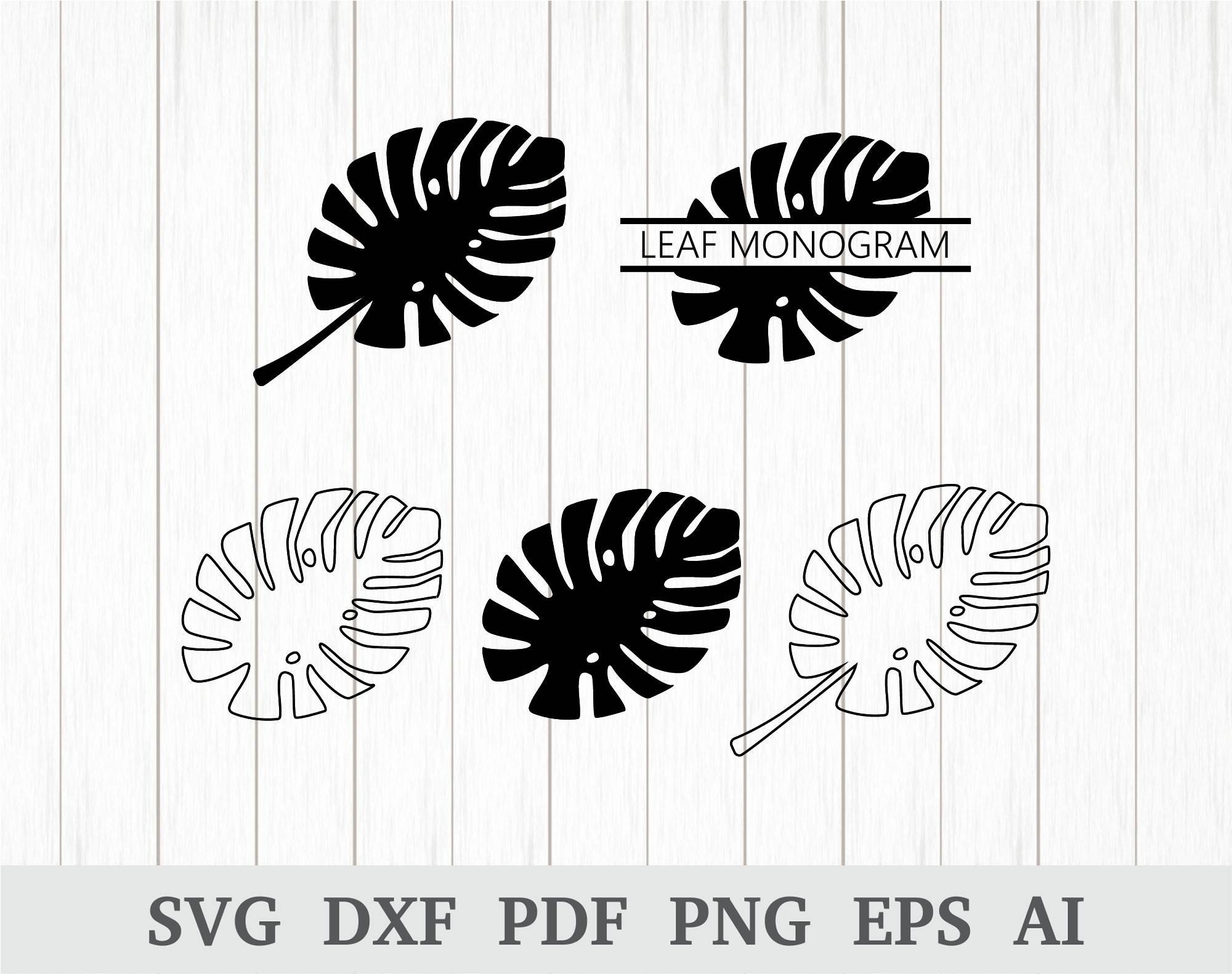 Monstera Leaf Svg Monstera Svg Monstera Plant SVG Tropical - Etsy Australia