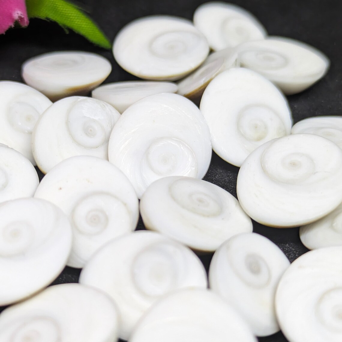 Gomti Chakra Gemstones Lot, Round Shape Gomti Chakra Gemstones, Gomti ...