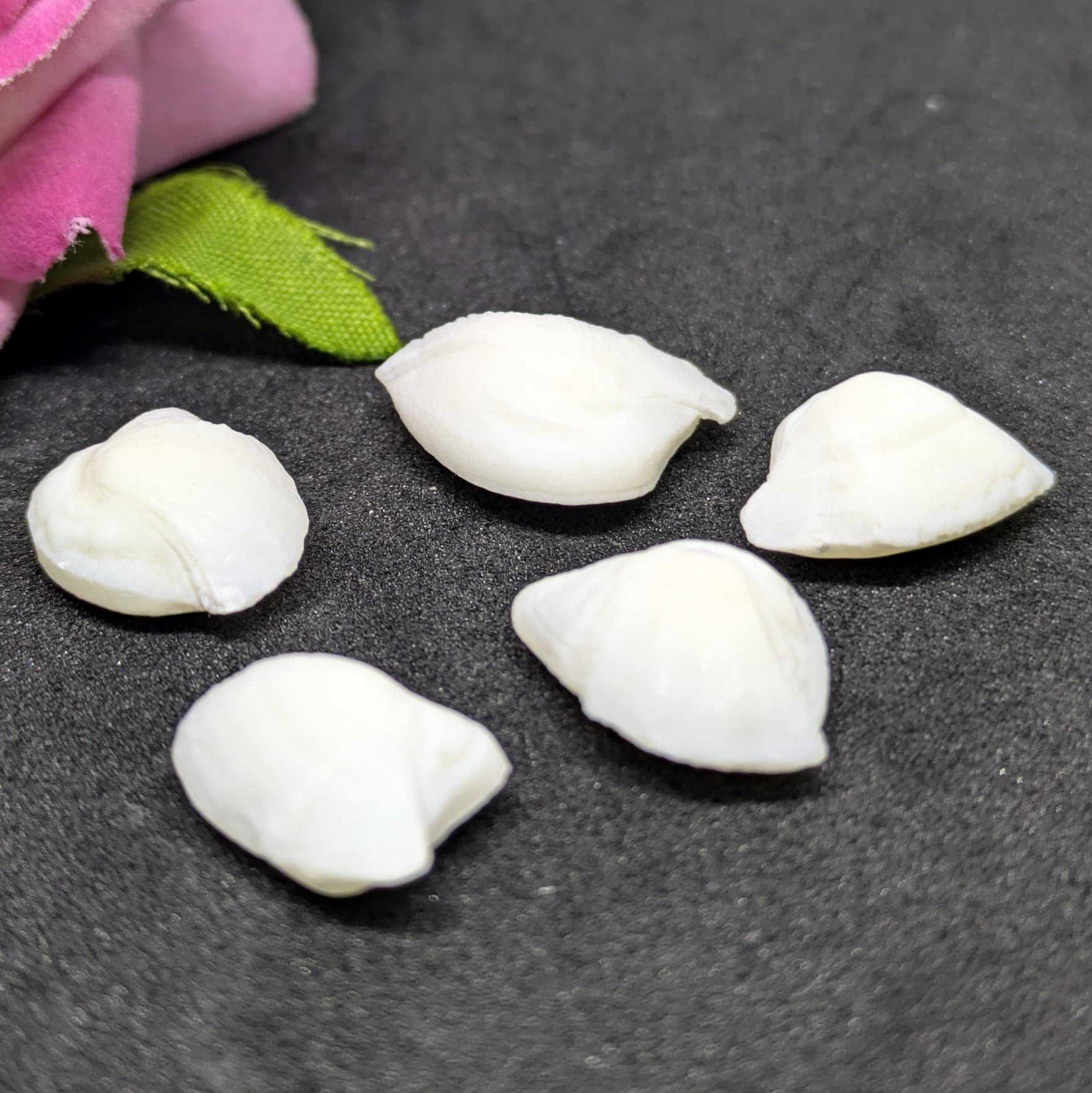 Original Machhmani Stone Fish Pearl Stone Certified Machhmani Gemstone ...