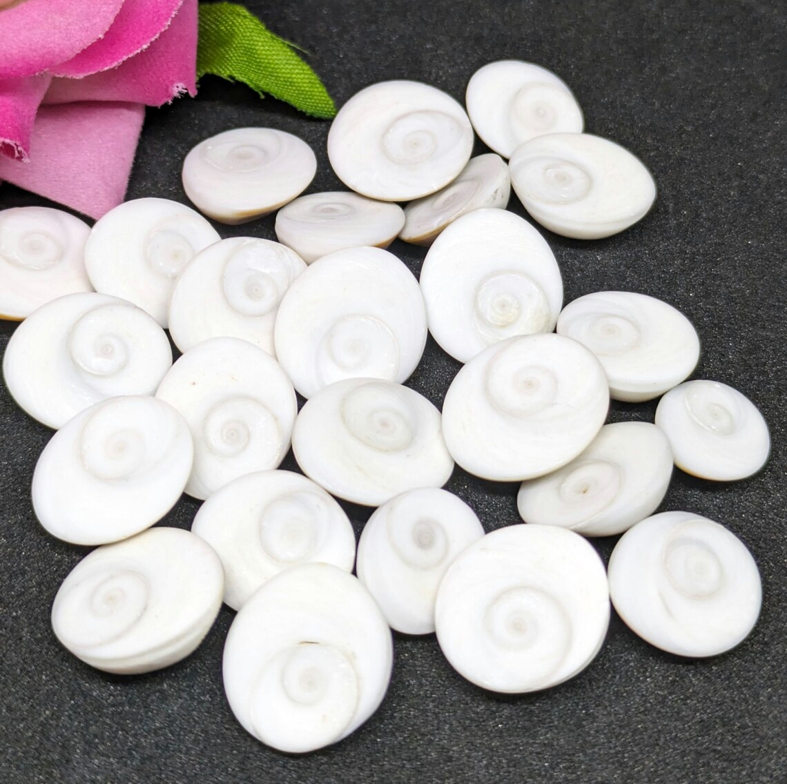 Gomti Chakra Gemstones Lot, Round Shape Gomti Chakra Gemstones, Gomti ...