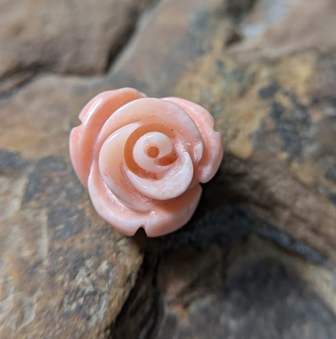 Taiwan Coral Rose, Pink Coral Rose Flower Natural Coral Roses Jewelry ...