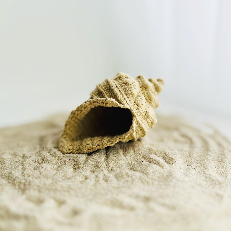 Crochet Seashell Amigurumi Pattern, Conch, Scallop, Ammonite (PDF) - Etsy
