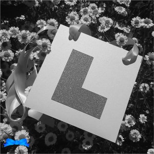 Rose Gold Hen Party Glitter L Plate and Bride to Be Badge. Rose Gold ...