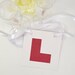 Hen Party Glitter L Plate. Hen Do Accessories. Luxury Hen Party Costume ...