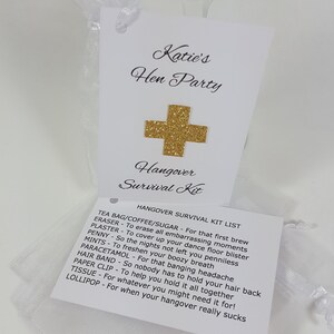 Personalised Hangover Kit Tags and Bags. Hen Party Favour Survival Kit ...