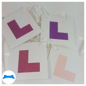 Hen Party Glitter L Plate. Hen Do Accessories. Luxury Hen Party Costume ...