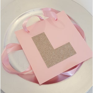 Hen Party Glitter L Plate. Hen Do Accessories. Luxury Hen Party Costume ...