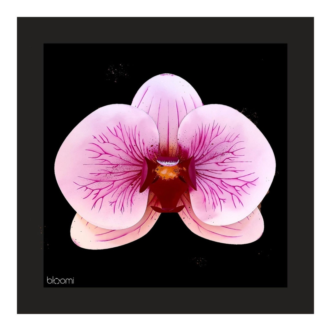 Contemporary Art Metal Orchid Wall Art White & Pink With - Etsy