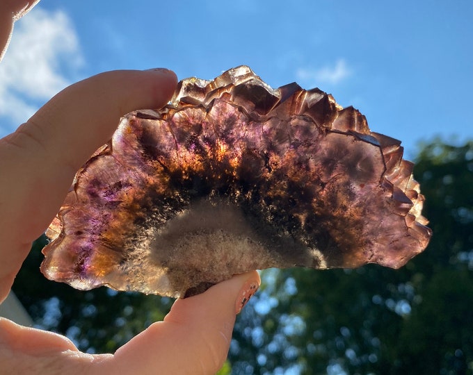 Auralite 23 Crystal Rare Auralite 23 With Black Dendrite Red Cap Amethyst - Etsy