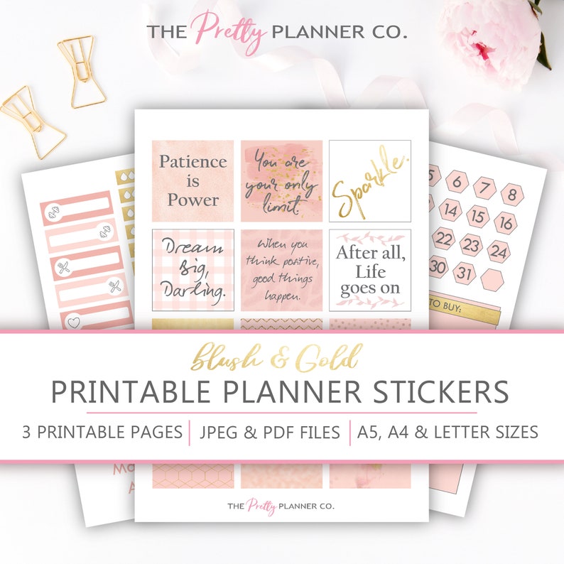 Blush & Gold Stickers Printable Stickers Printable Planner - Etsy