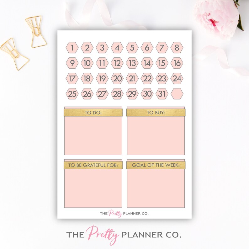 Blush & Gold Stickers Printable Stickers Printable Planner - Etsy
