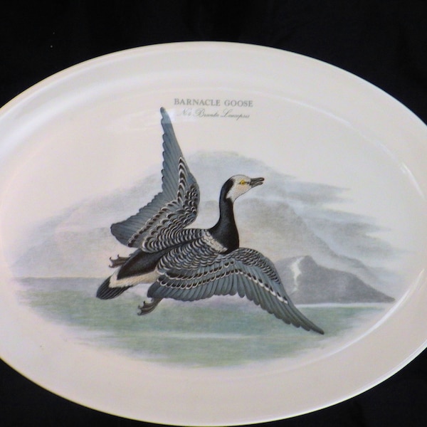 Bird Platter - Etsy