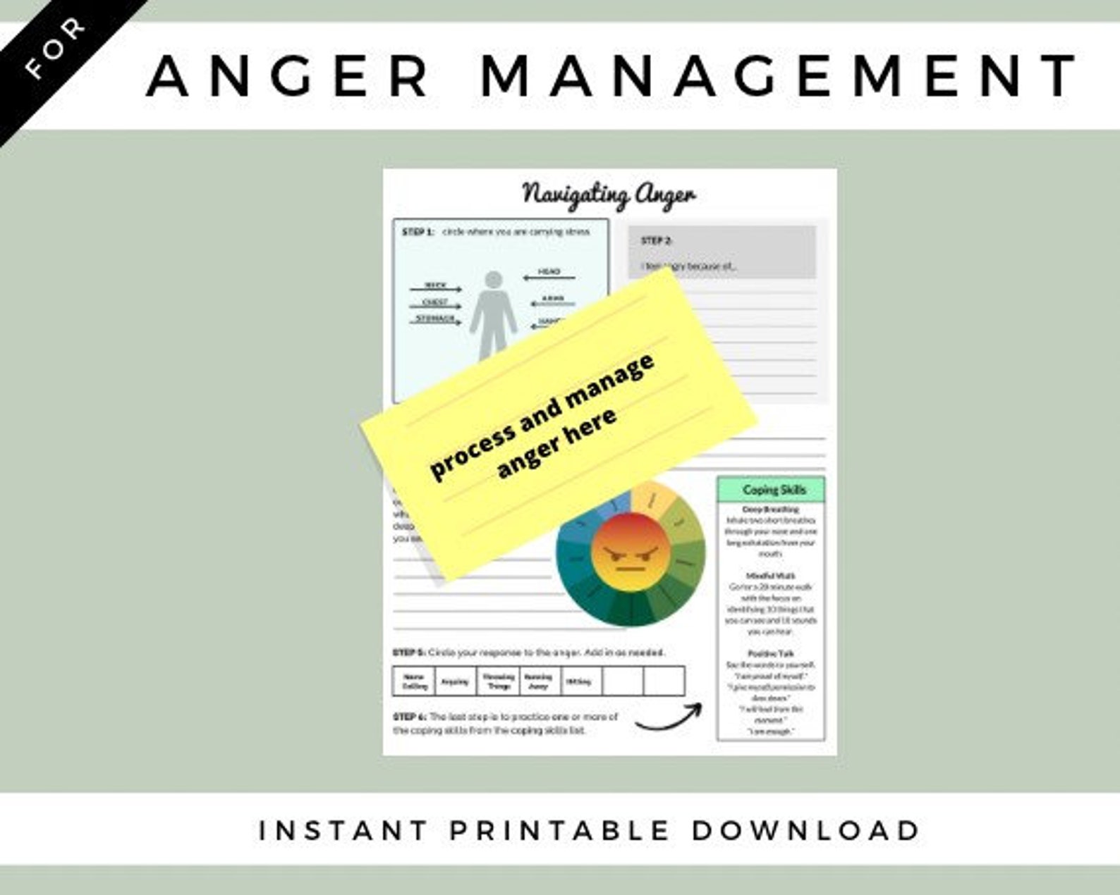 Anger Management Worksheet for Processing Anger and Challenging ...