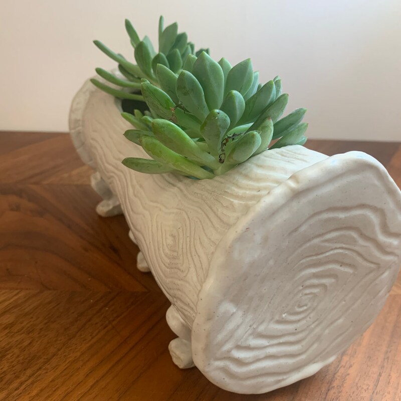 Succulent Log Planter - Etsy