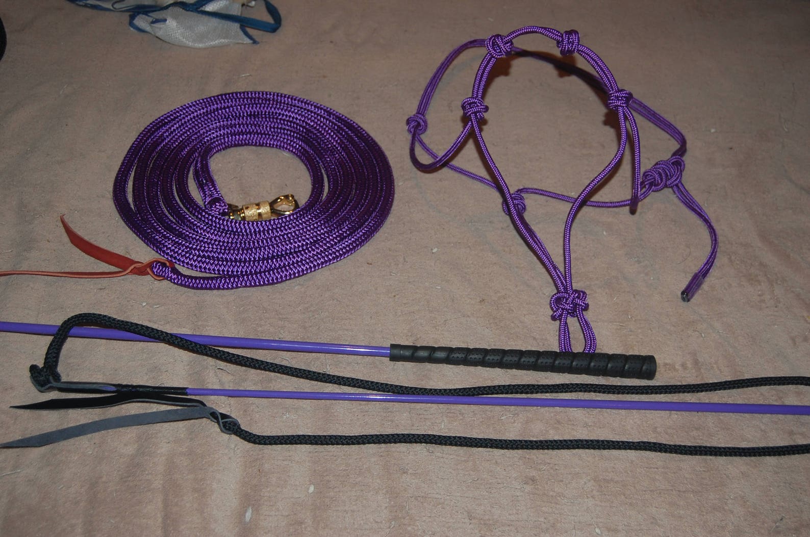 Horse Training Set 14' Lead Rope Stiff Rope Halter | Etsy