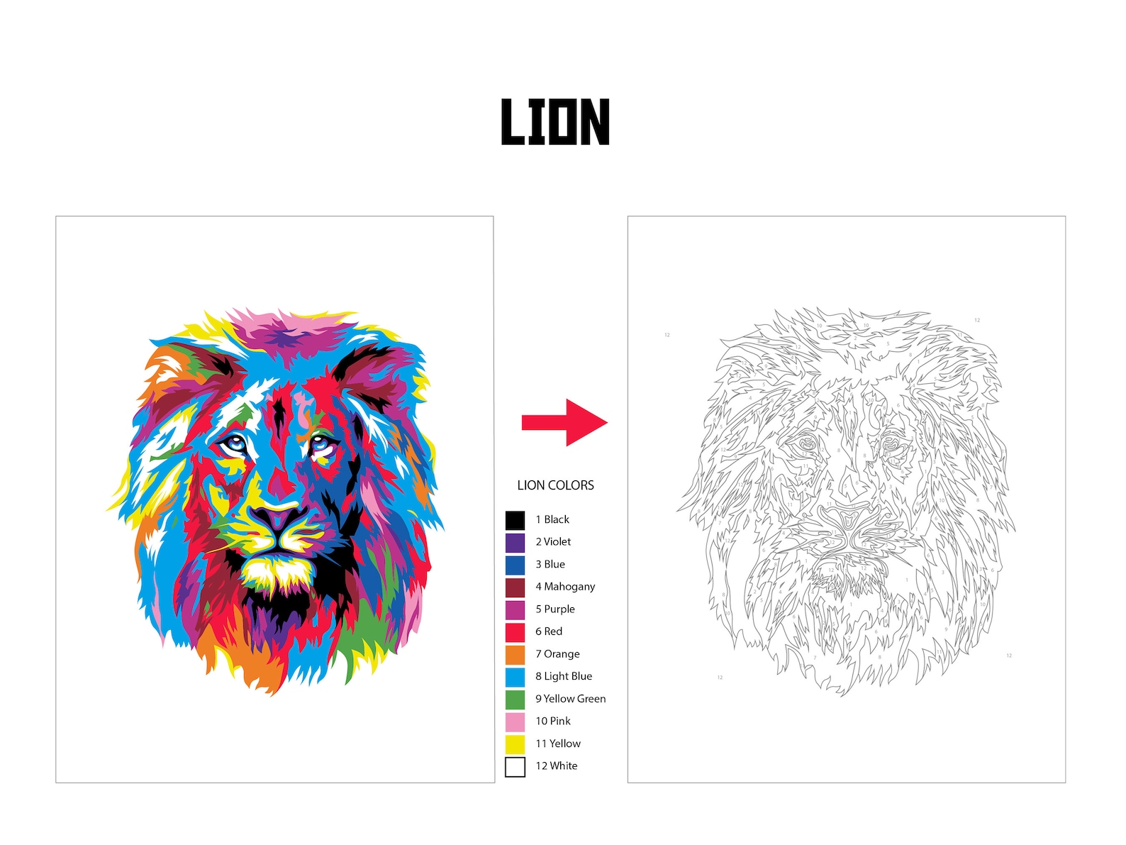 Color by Number Coloring Page, Colourful Abstract Lion, Adult Coloring ...