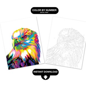 Color by Number Coloring Page, Colourful Abstract Eagle, Adult Coloring ...