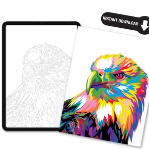 Color by Number Coloring Page, Colourful Abstract Eagle, Adult Coloring ...