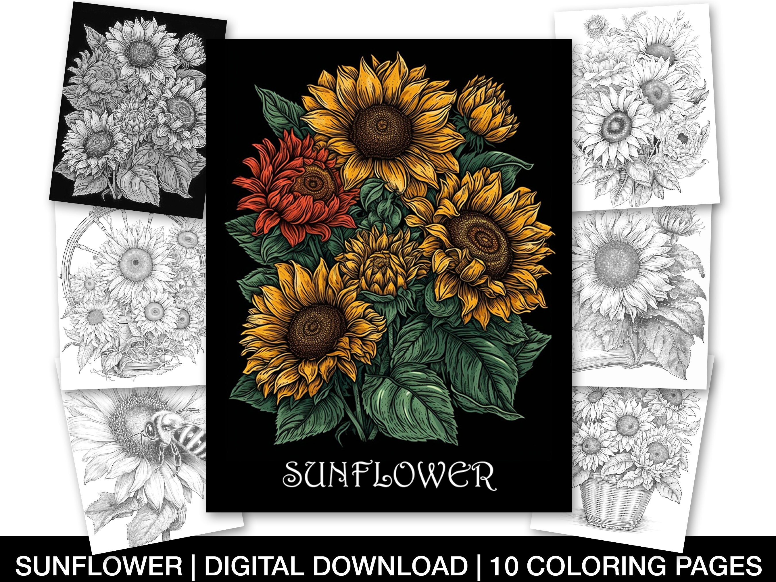 Downloadable Sunflower Coloring Pages