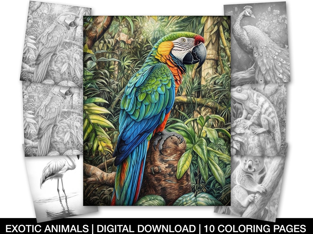 Exotic Animals Coloring Page for Adults, Printable Exotic Animal Sheets ...