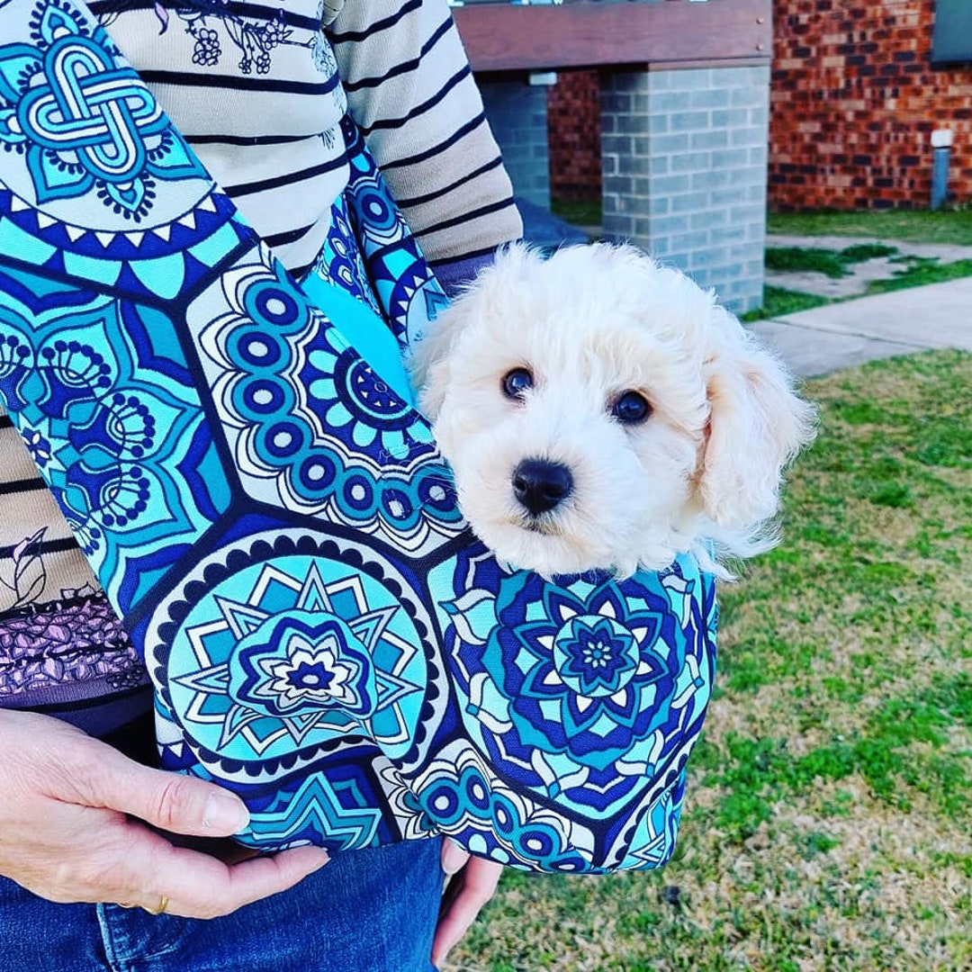 Crossover Pet Sling Carrier Pet Carrier Pet Sling Dog Carrier Dog crossover-pet-sling-carrier-pet-carrier-pet-sling-dog-carrier-dog