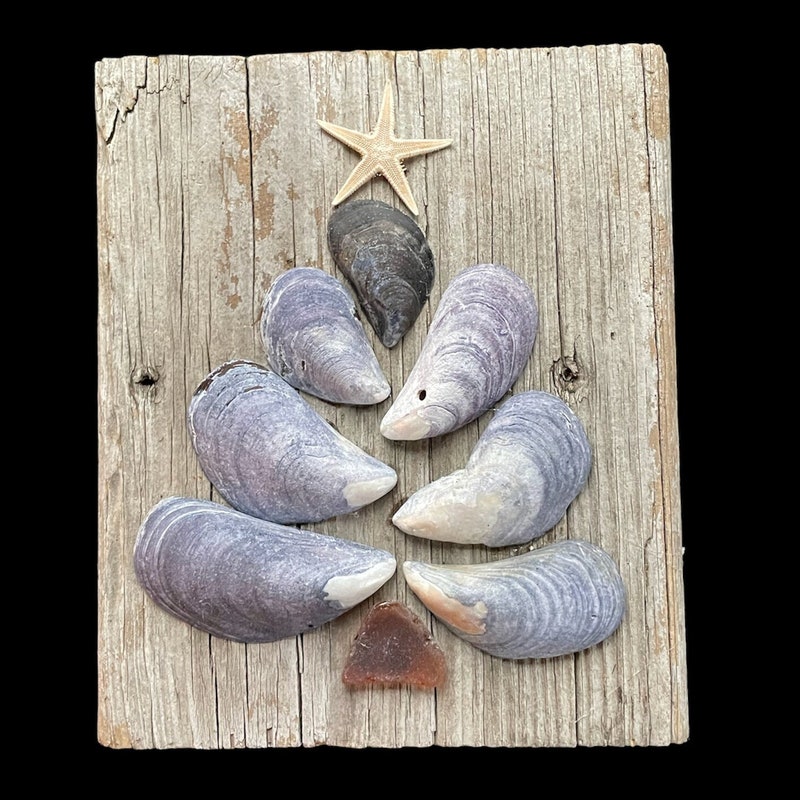 ArtSeaDesignStudio - Etsy