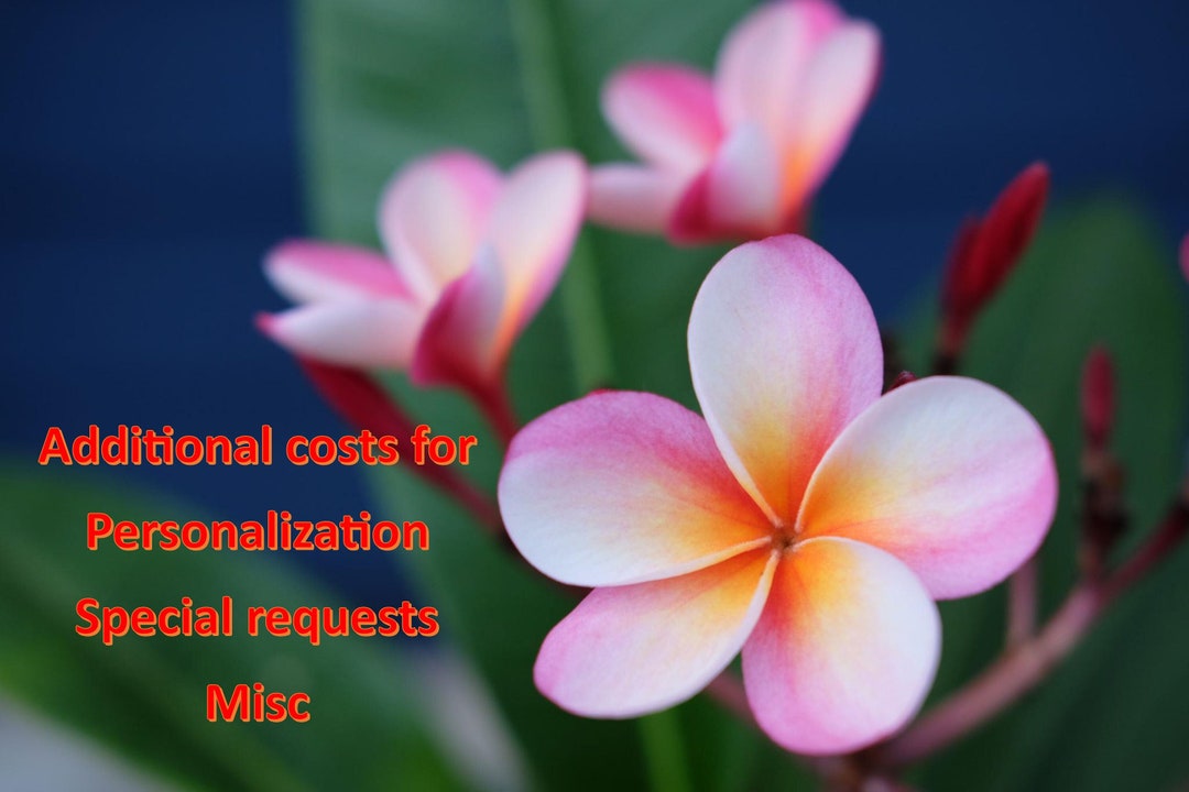 Additional Charges/fees for Personalization, Special Requests, Misc - Etsy
