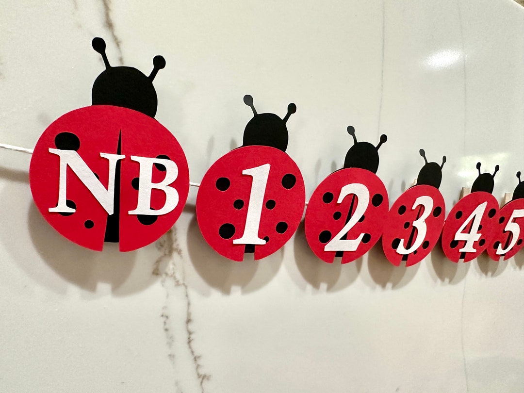 Ladybug Monthly Photo Banner,ladybug First Year Photo Banner, Ladybug ...
