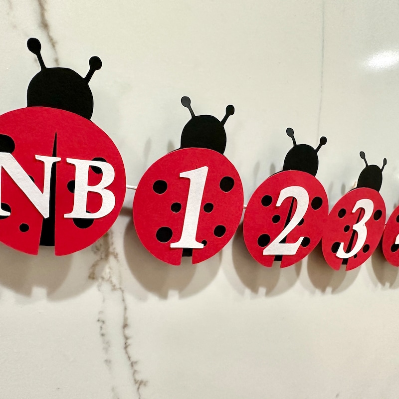 Ladybug 1st Birthday - Etsy