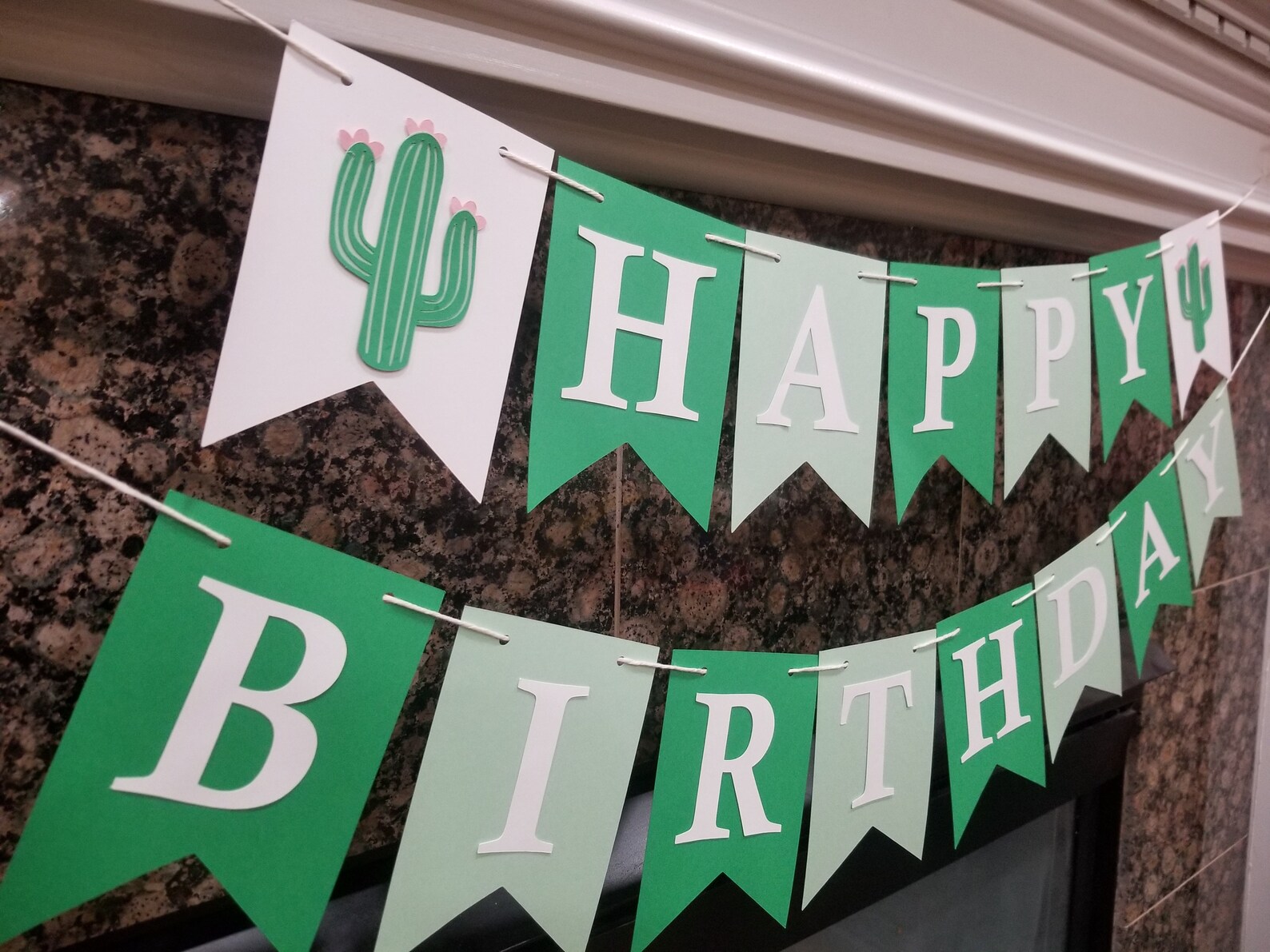 Cactus Birthday Banner Party Decorations Birthday Banner - Etsy