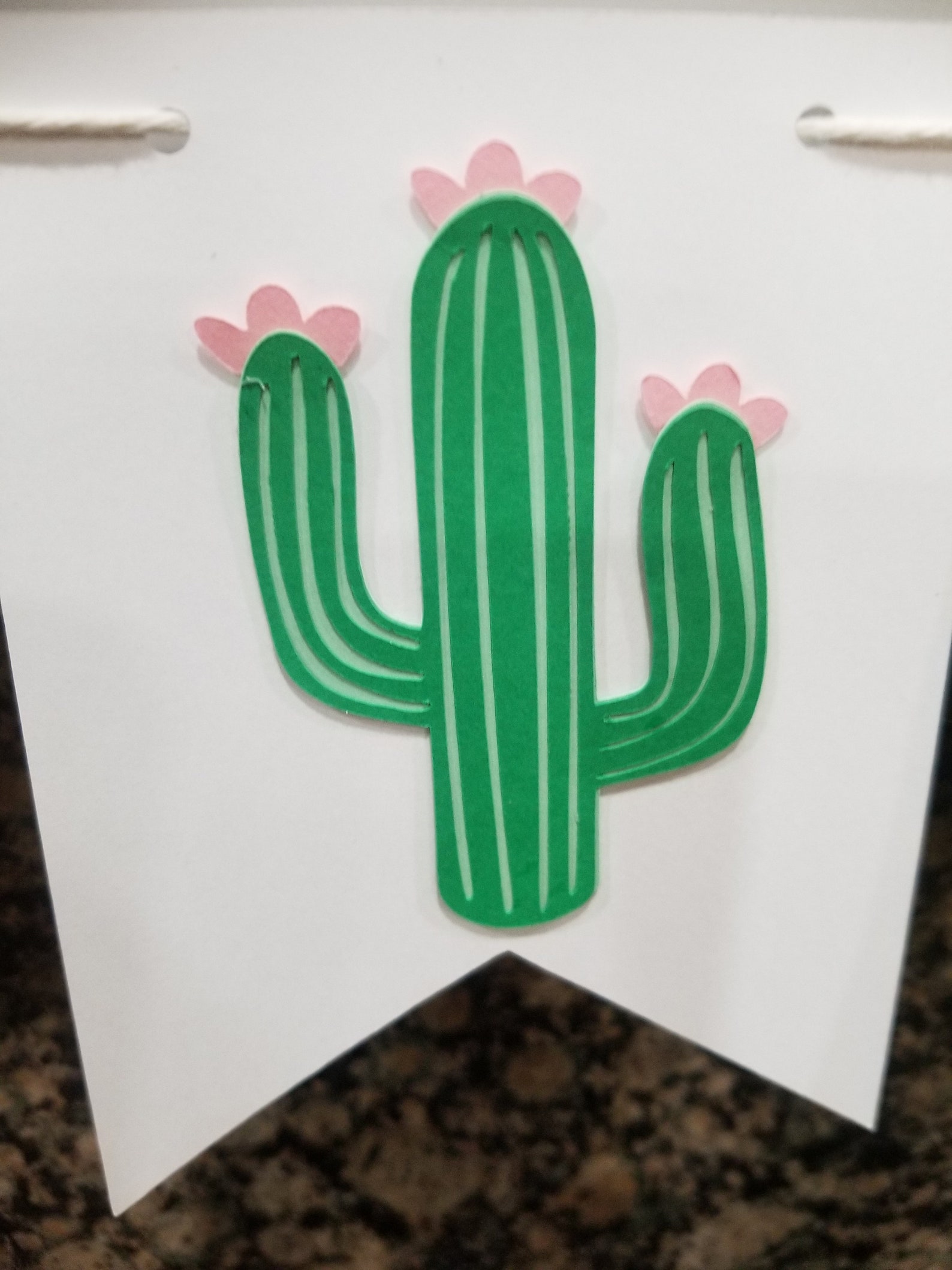Cactus Birthday Banner Party Decorations Birthday Banner - Etsy
