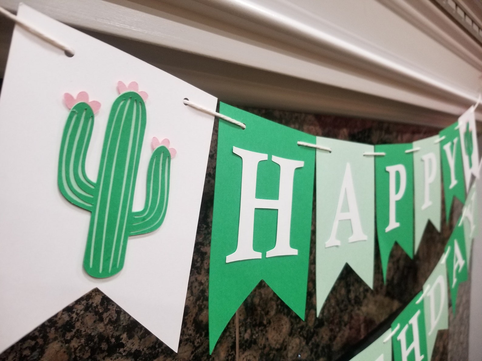 Cactus Birthday Banner Party Decorations Birthday Banner | Etsy