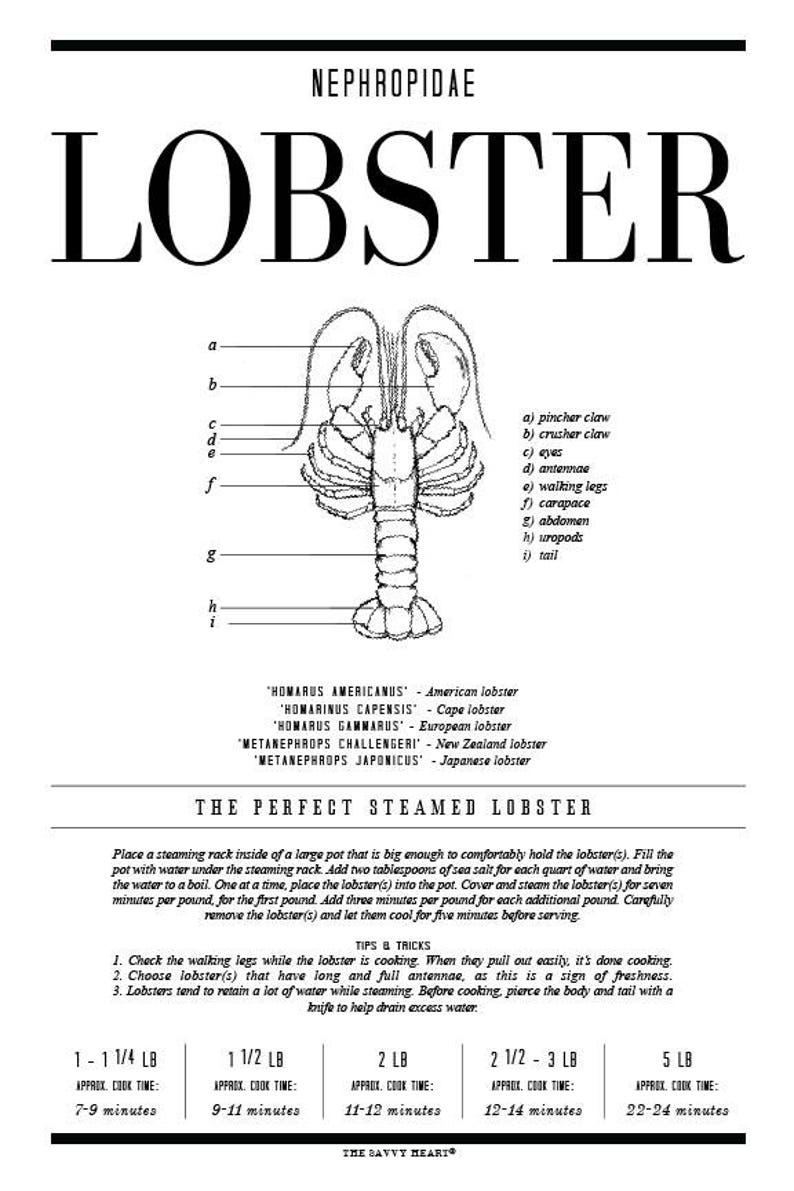 Lobster Chart Digital Art Print Printable Kitchen Art, Wall Decor ...