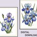 Iris Flowers Printable Set of 2 Wall Print Prints Printable - Etsy