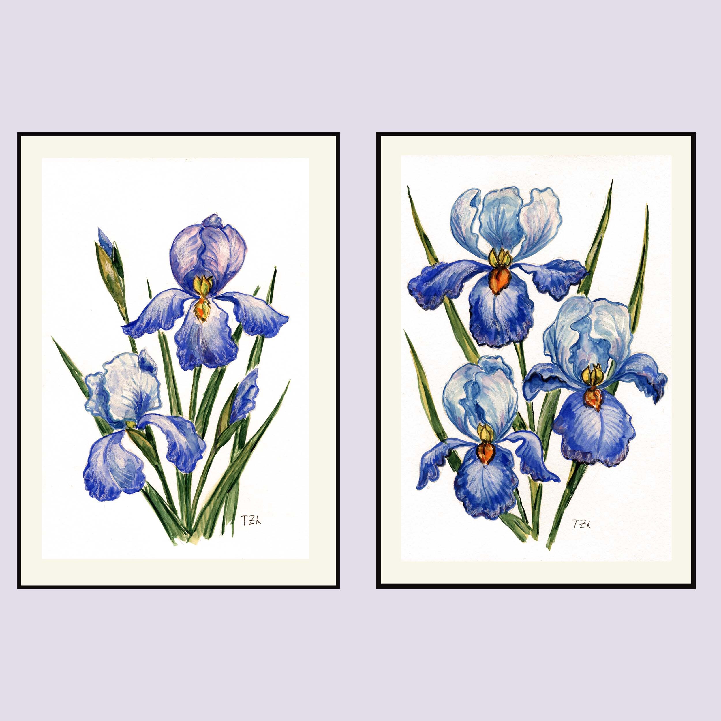 Iris Flowers Printable Set of 2 Wall Print Prints Printable - Etsy