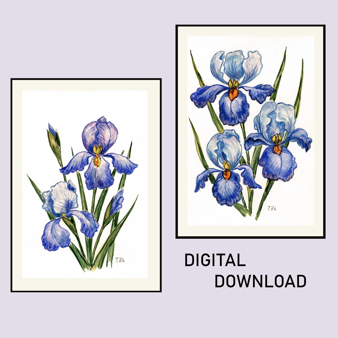 Iris Flowers Printable Set of 2 Wall Print Prints Printable - Etsy