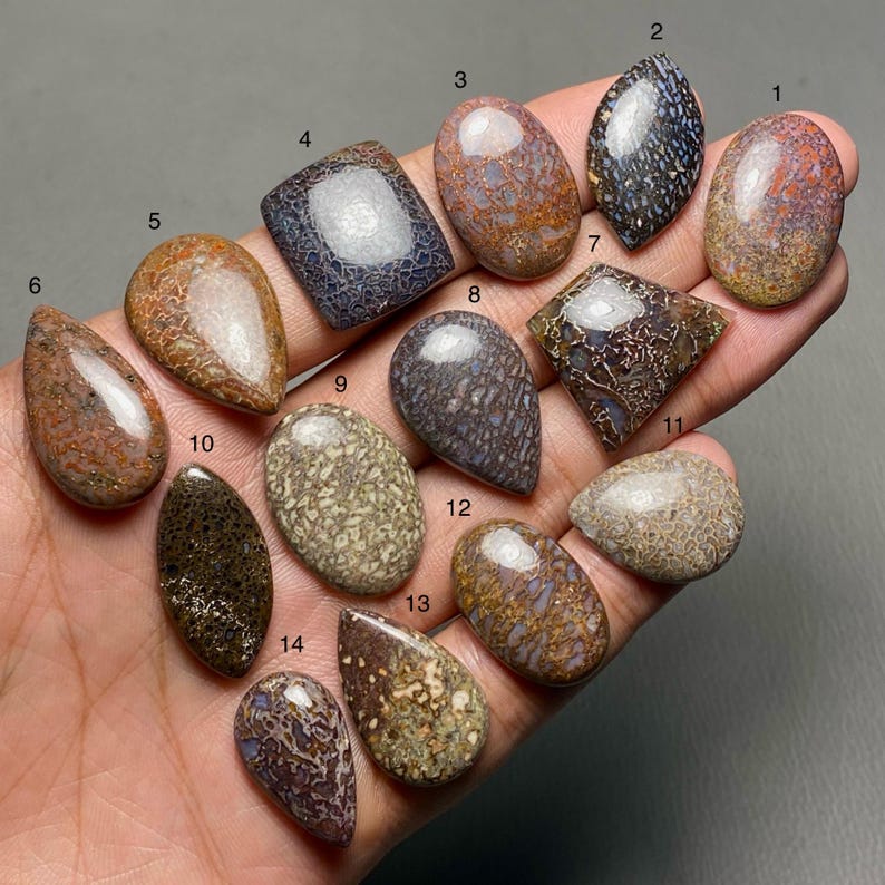 Dinosaur Bone Fossil A One Quality 100% Natural Dinosaur Bone Cabochon ...