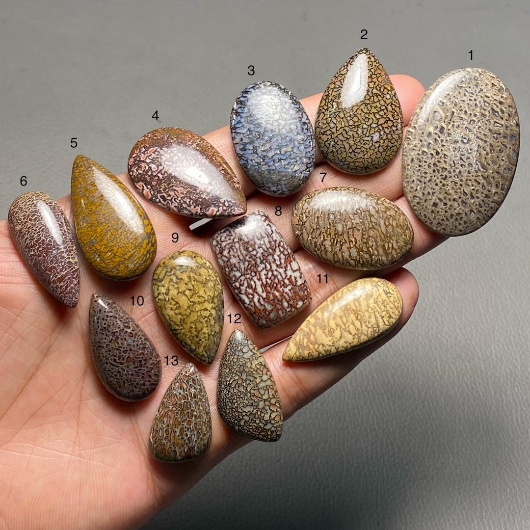 Dinosaur Bone Fossil A One Quality 100% Natural Dinosaur Bone Cabochon ...
