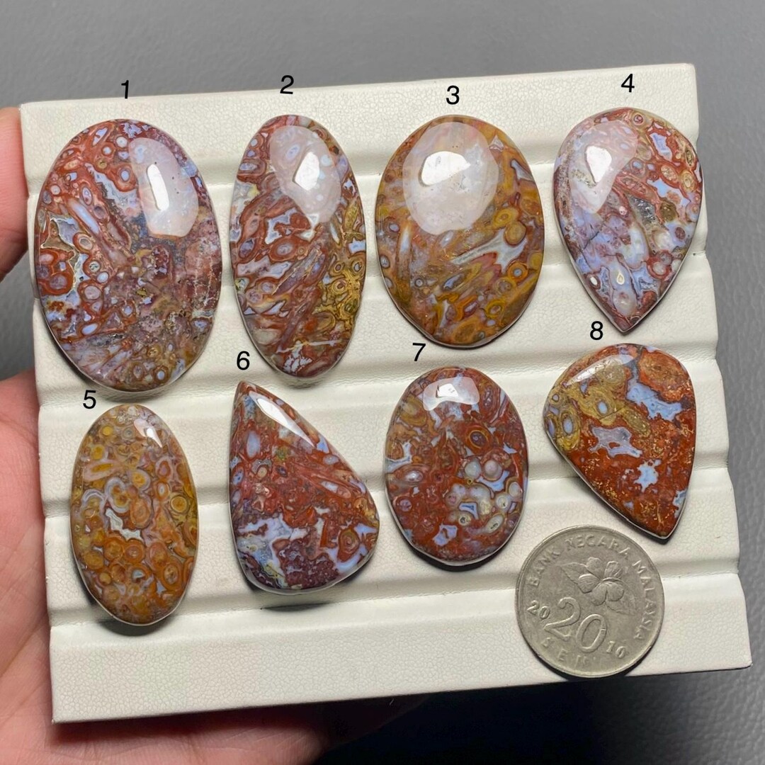 Palm Root Fossil Agate A One Quality 100% Natural Palm Root Fossil ...