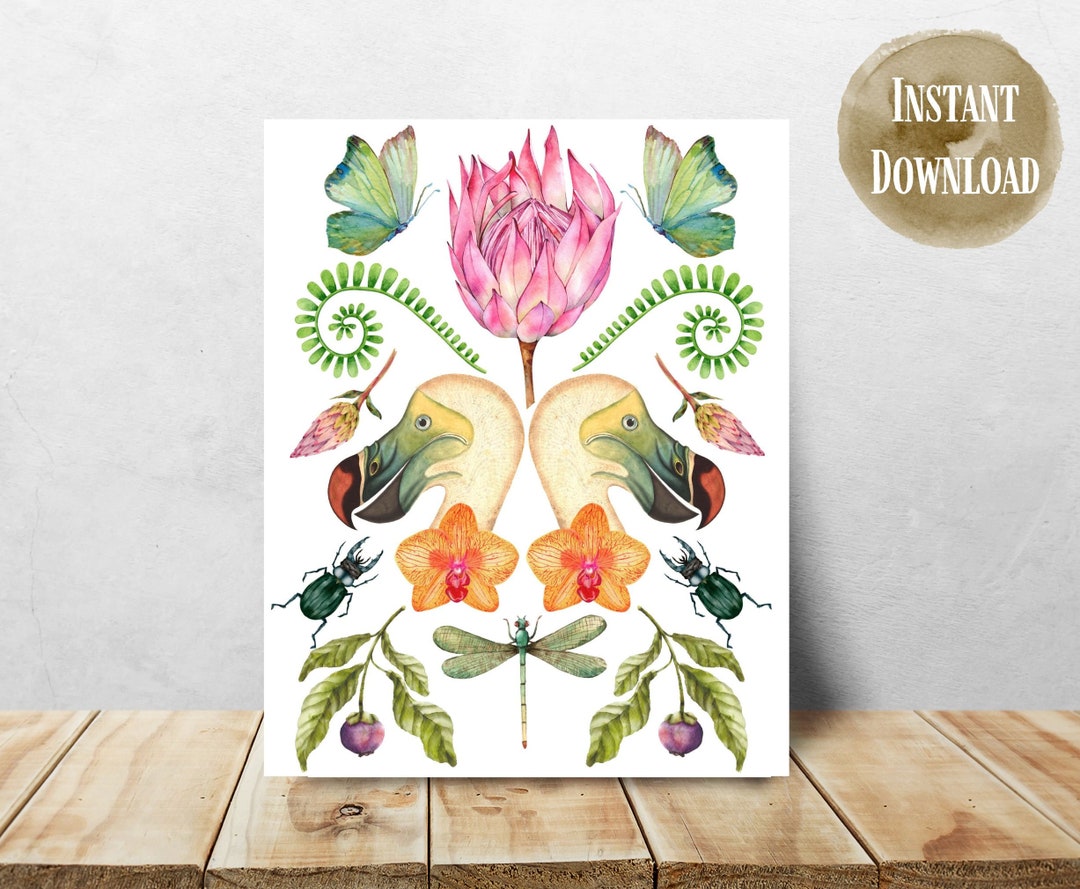 Arte imprimible de Dodo Bird / Imprimir en casa / Ilustración de dibujo ...