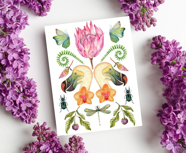 Arte imprimible de Dodo Bird / Imprimir en casa / Ilustración de dibujo ...