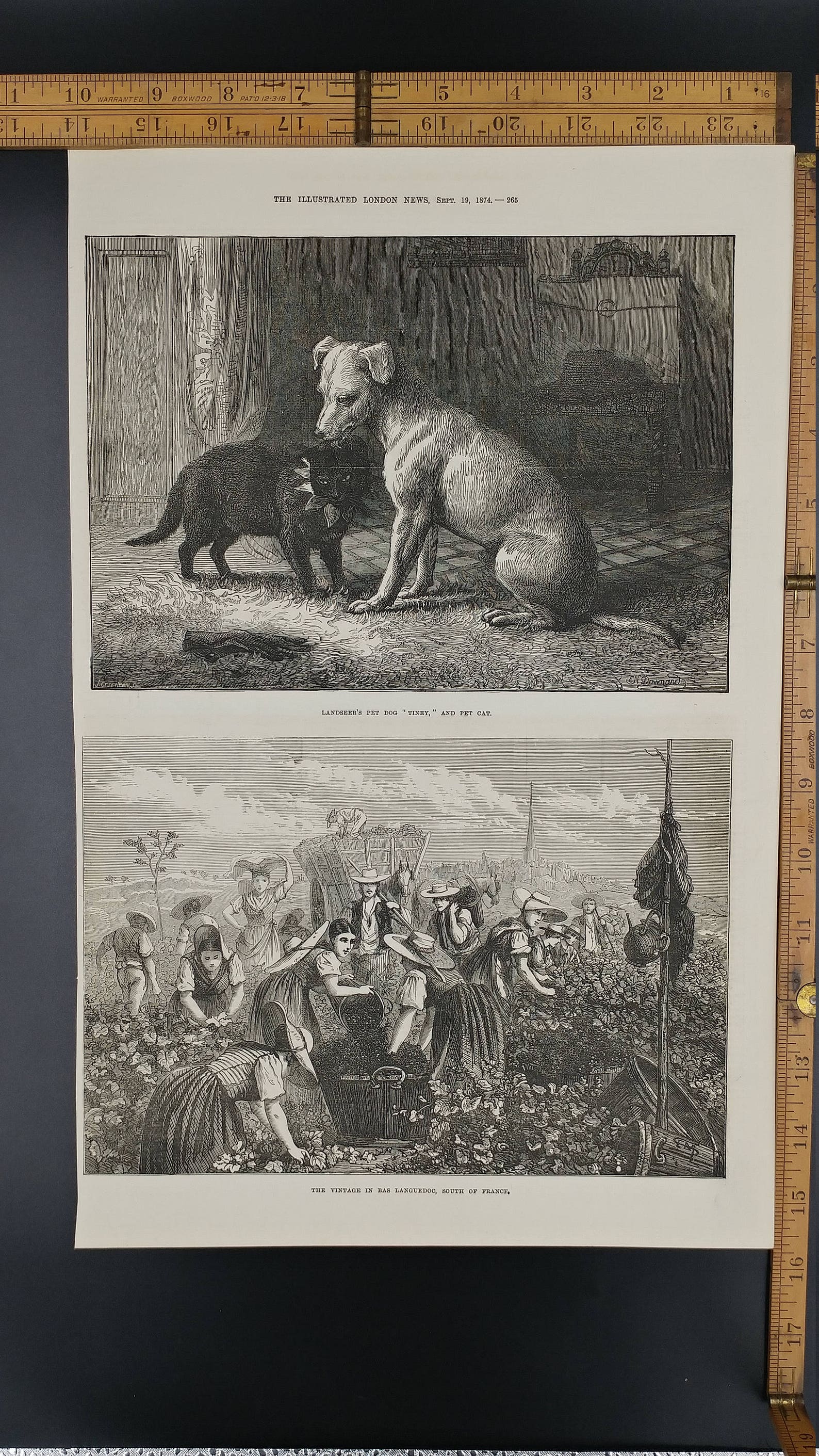 Landseer's Pet Dog tiney and Pet Cat 1874. - Etsy