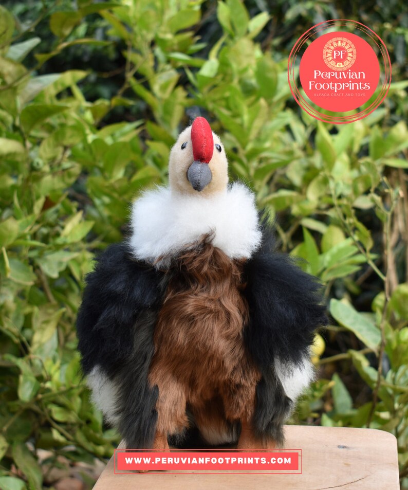 Teddy Condor Alpaca Condor Plush / Plush Alpaca for SPECIAL - Etsy