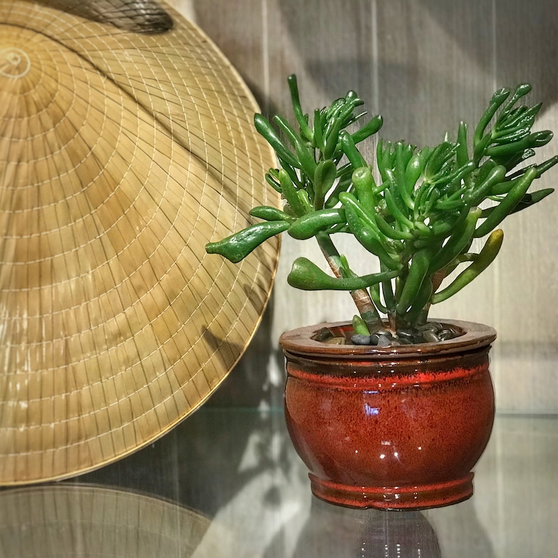 Large Violet Pots Ceramic - Etsy