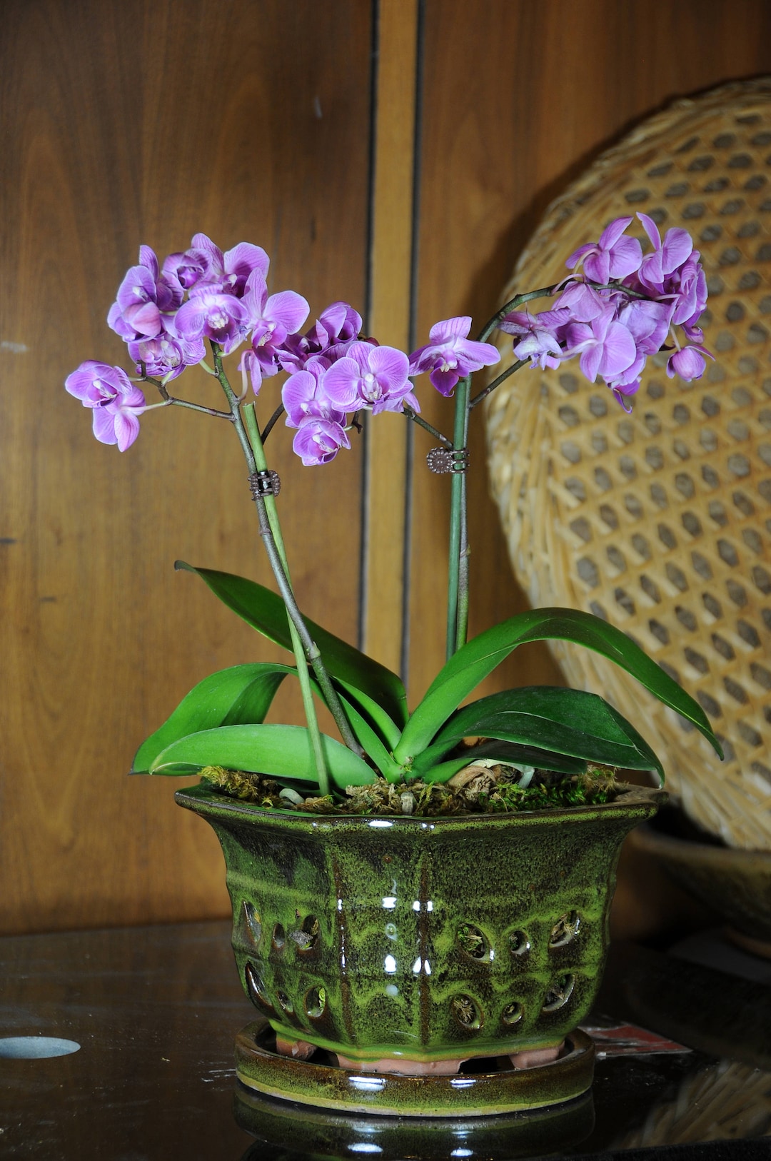 Handmade Square Ceramic Orchid Pot With Attached Saucer and Drainage ...