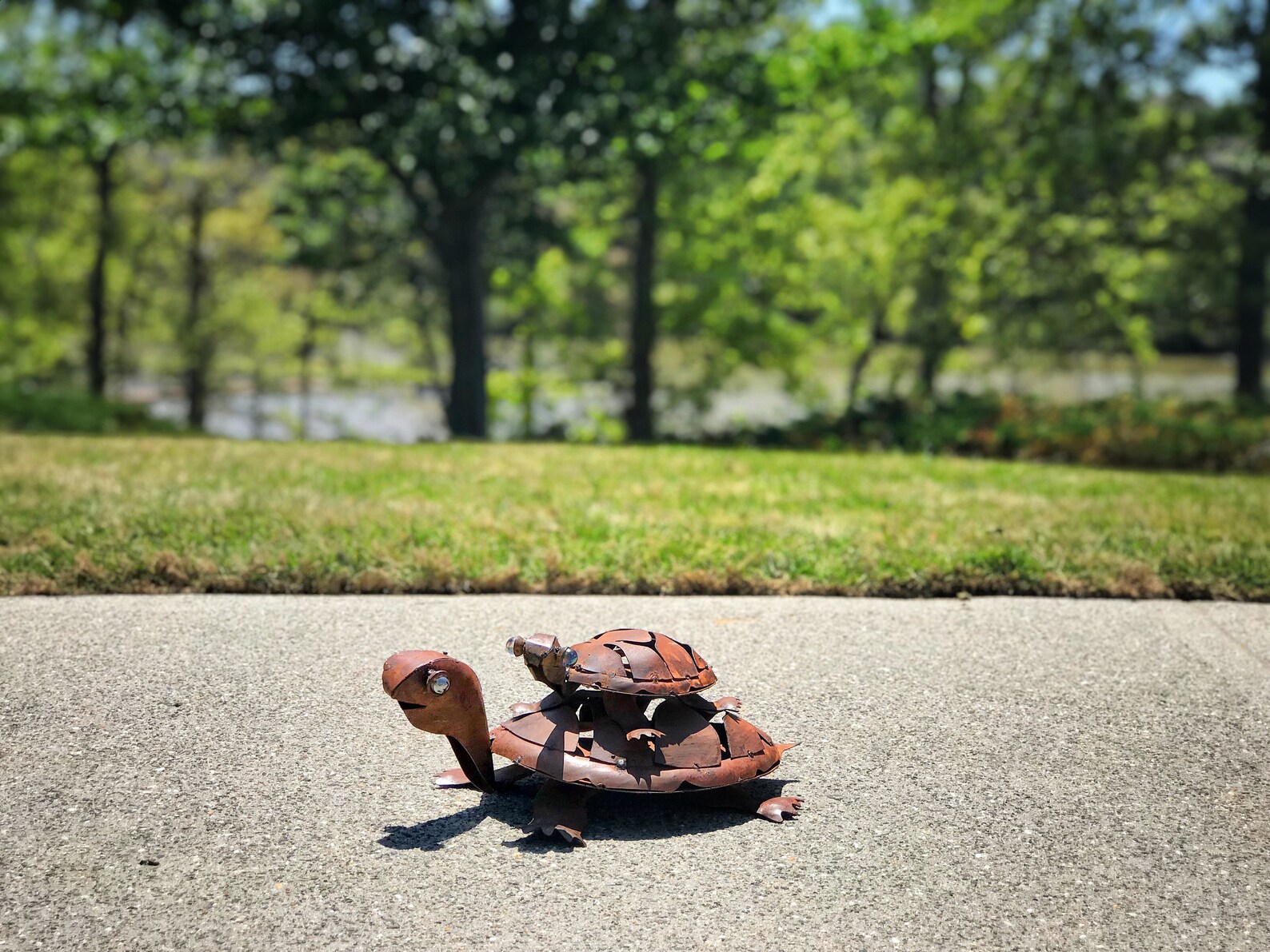 Rustic Metal Turtle Turtle Family Single Item Handmade | Etsy