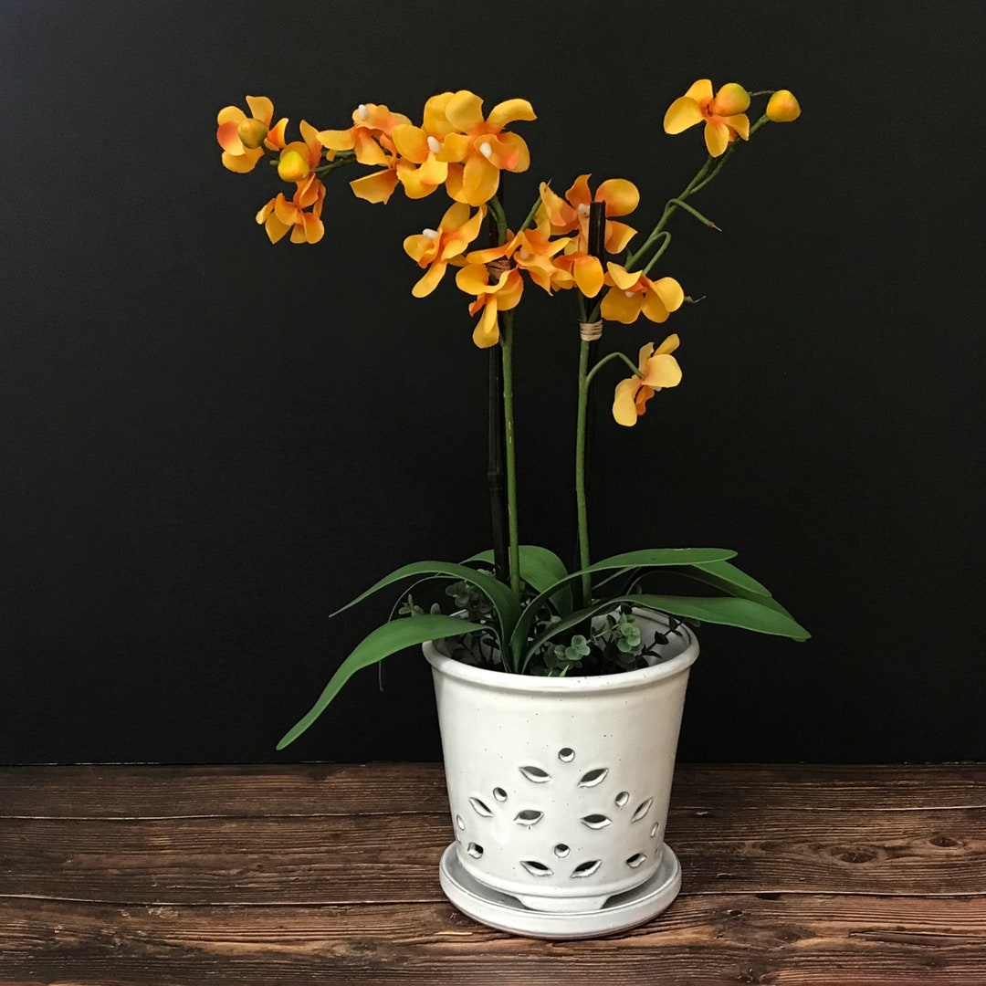 Waikiki LARGE 7.0 Handmade Ceramic Orchid Pot With Attached Saucer ...