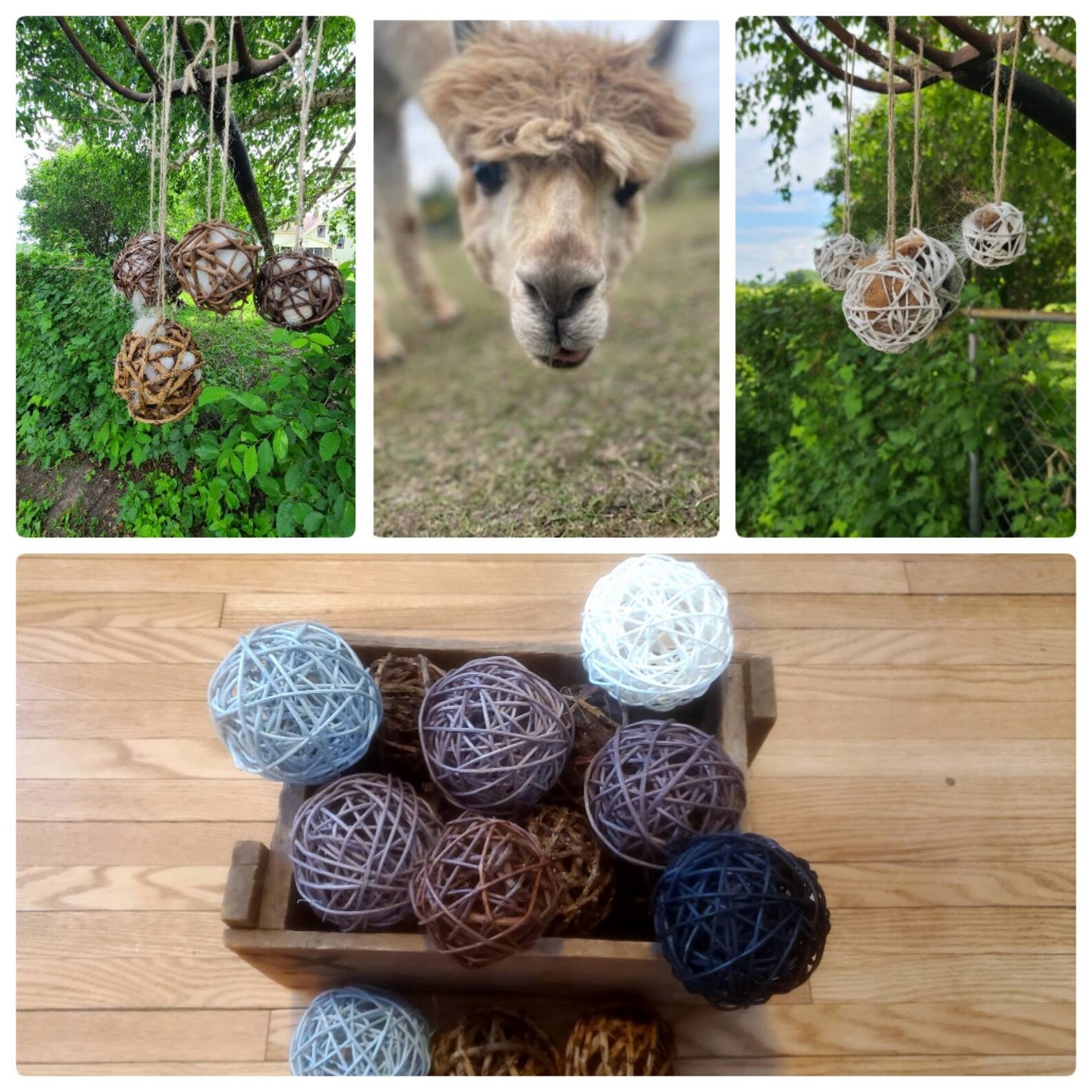 2- Grapevine Nesting Balls, Nesting Balls, Bird Nest Material, Bird ...